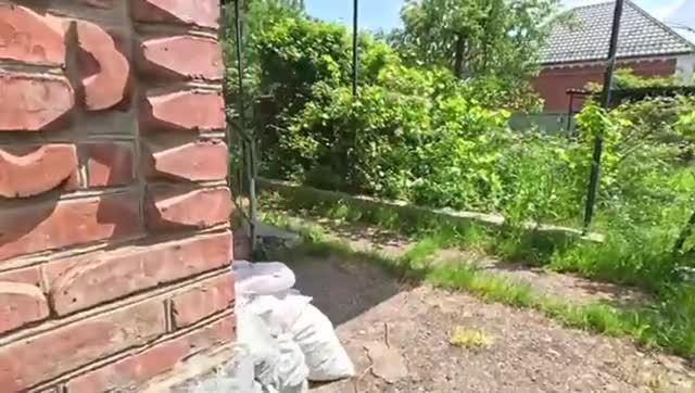 Жизнь вне орхидей - Ем местный воздух ПОЛОВНИКАМИ  поймал момент скосить траву