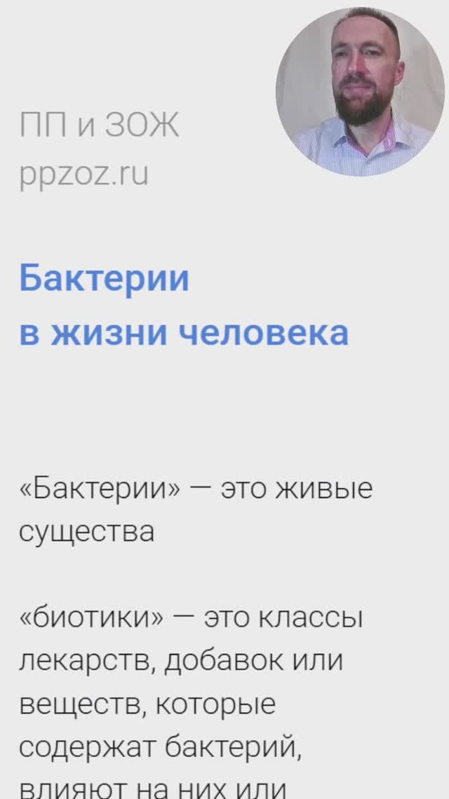 Бактерии в жизни человека