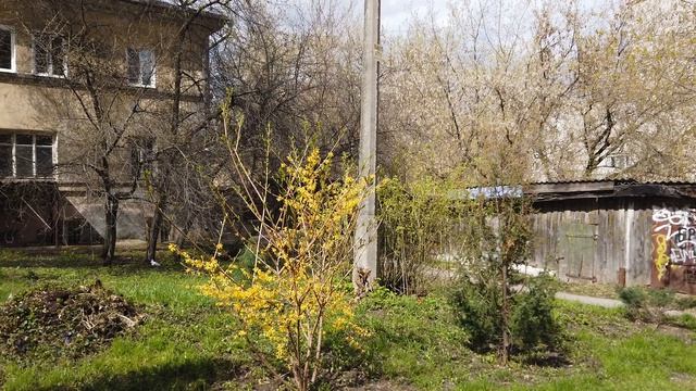 Рязань42