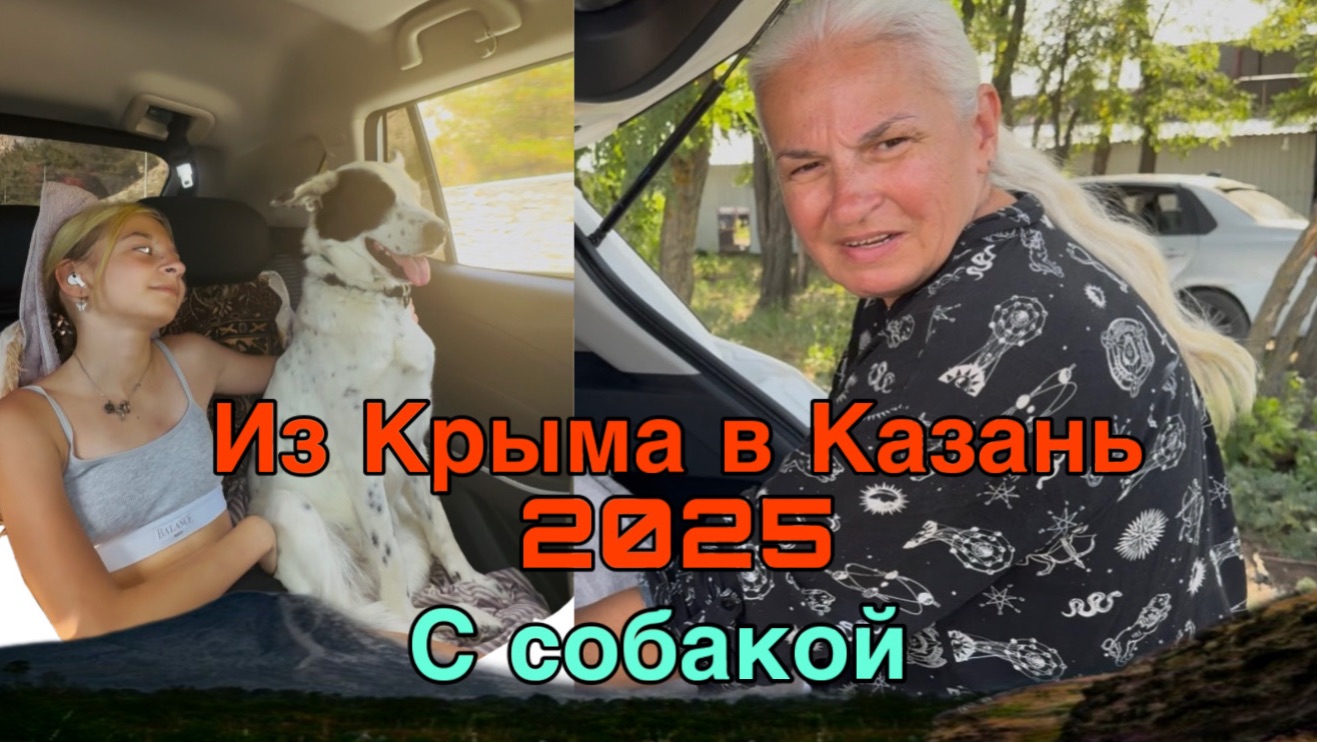 Дорога домой из Крыма в Казань 2025/ Лайфхаки для долгих поездок с собакой/ Дорога через Мариуполь