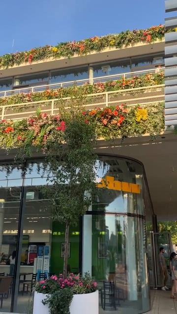 Сюда хочется возвращаться. Набережную в центре Москвы превратили в райский уголок