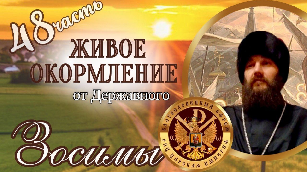 Живое окормление. Часть 48-я. "Почему нет твёрдости в исповедании?"