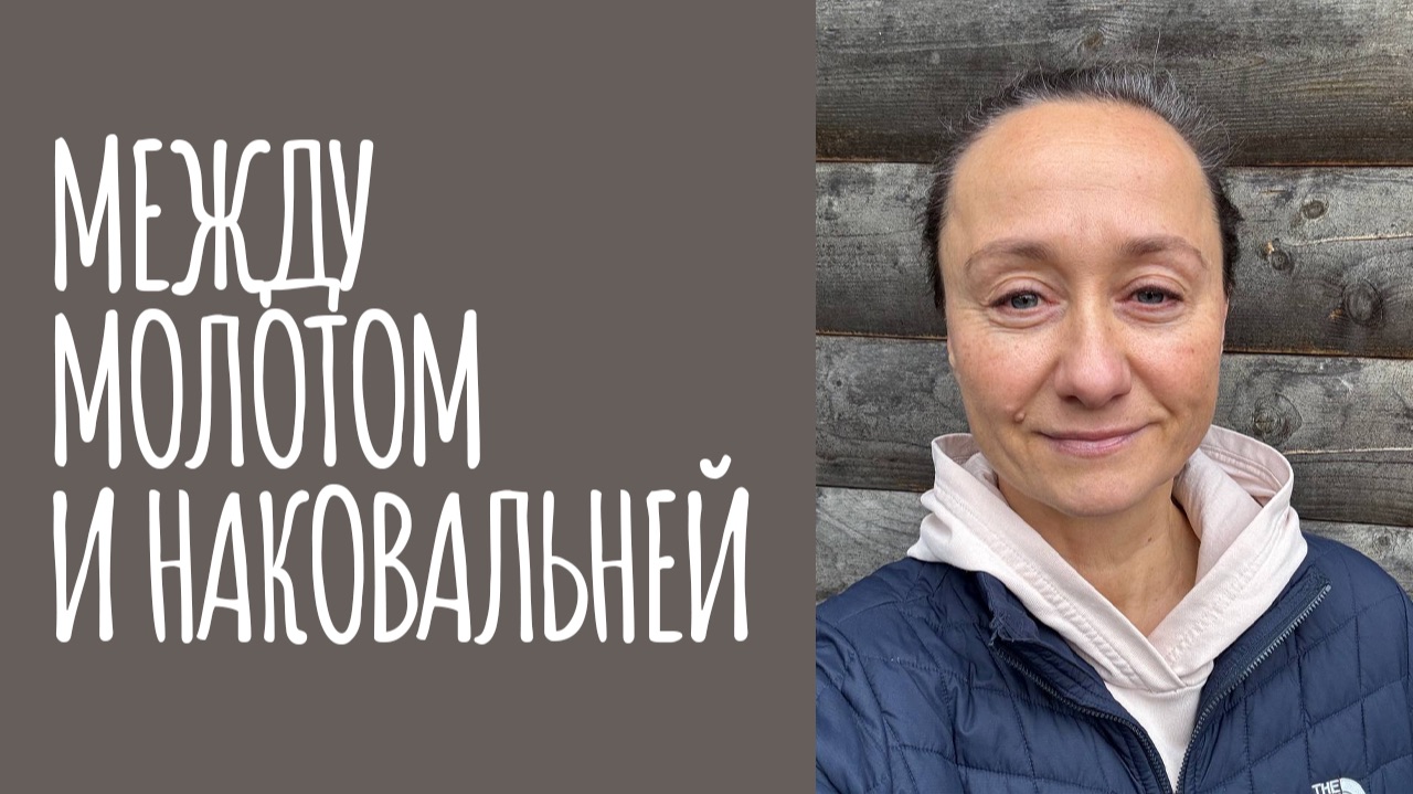 между молотом и наковальней