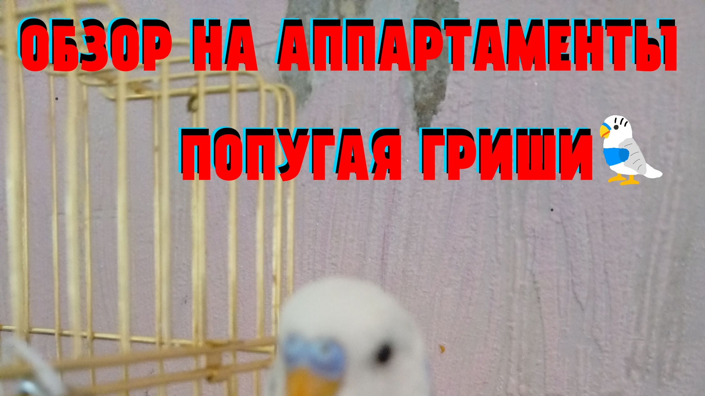 У Гриши в гостях