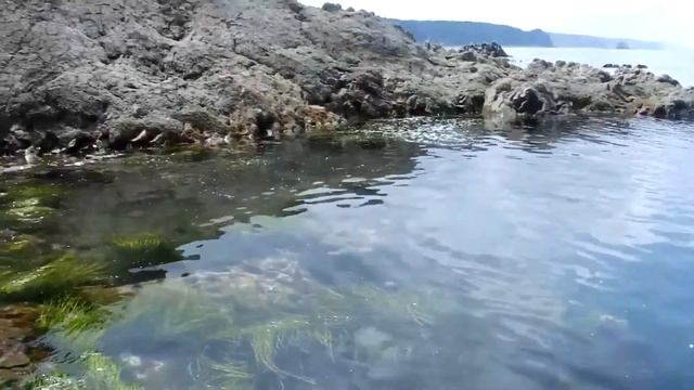 Прогулка по берегу Охотского моря к мысу Столбчатый (о. Кунашир,  Курилы)