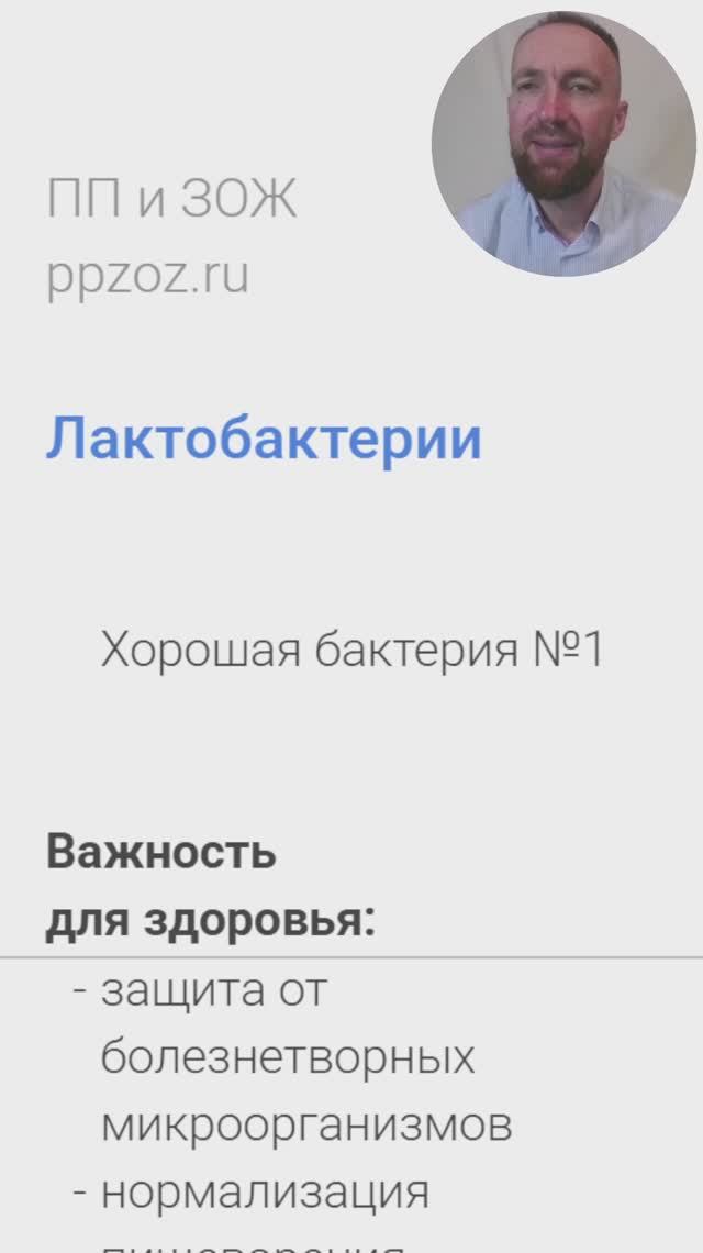 Лактобактерии