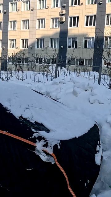 Потрескивание льда на озере 🌿 Замерзшее окно 🏖️ Золотой закат в августе 🌊