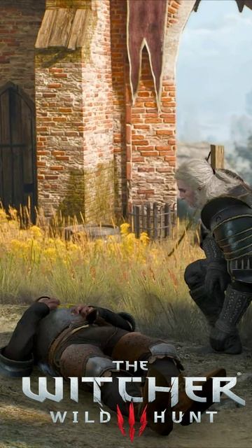 ДРЯННОЙ ДОСПЕХ Фергуса vs Иоанны. Квест Мастер-бронник. The Witcher 3 - Wild Hunt #shor
