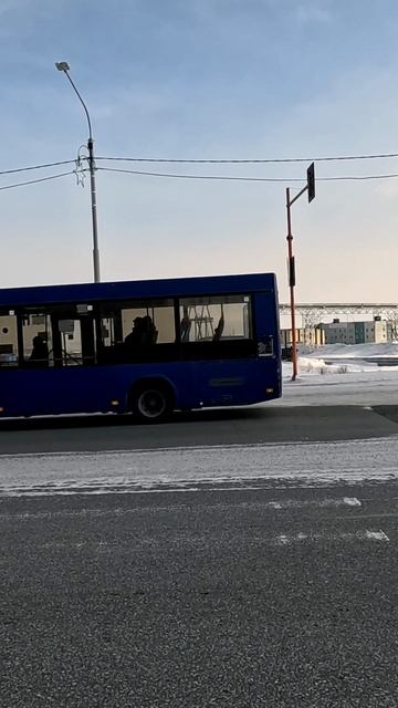 Дыхание вечной мерзлоты 💙 Стук рельсов 🎵 Солнечный морозный день 🌸