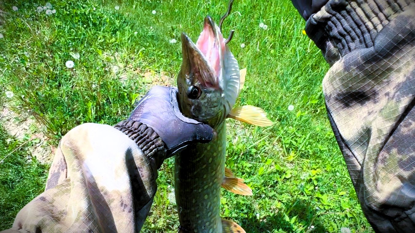 Кастинг. В поисках полосатого. 23.05.2026 🎣🐟🥵