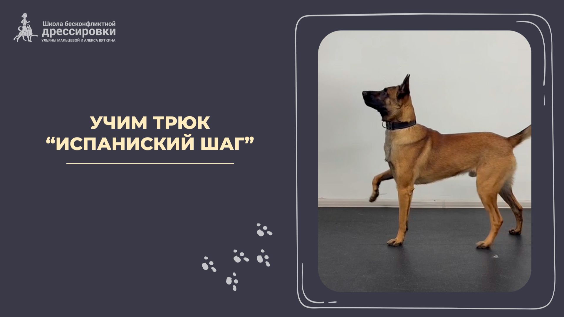 Учим трюк "Испанский шаг"