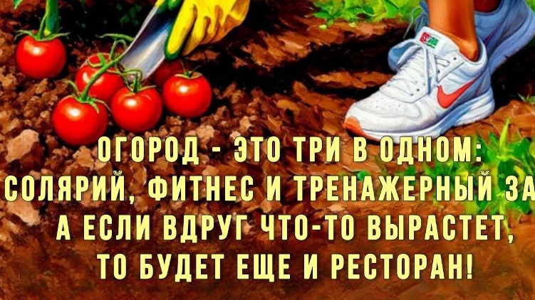 Фитнес по-деревенски (песня и клип ИИ)😀🏡