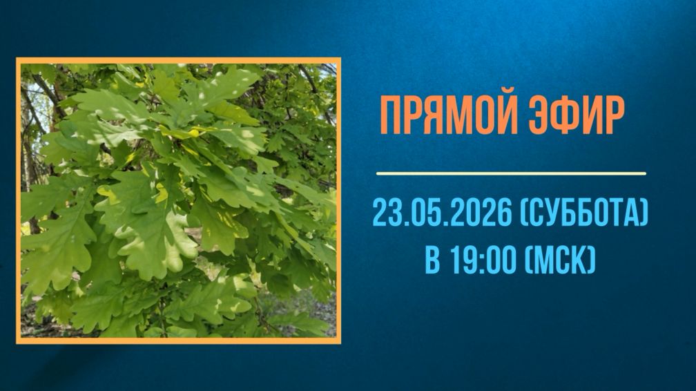 Анонс эфира 23.05.2026