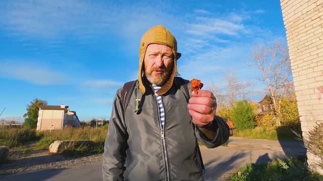 Папа ротный суперстар. 11 серия. Папа в разведке
