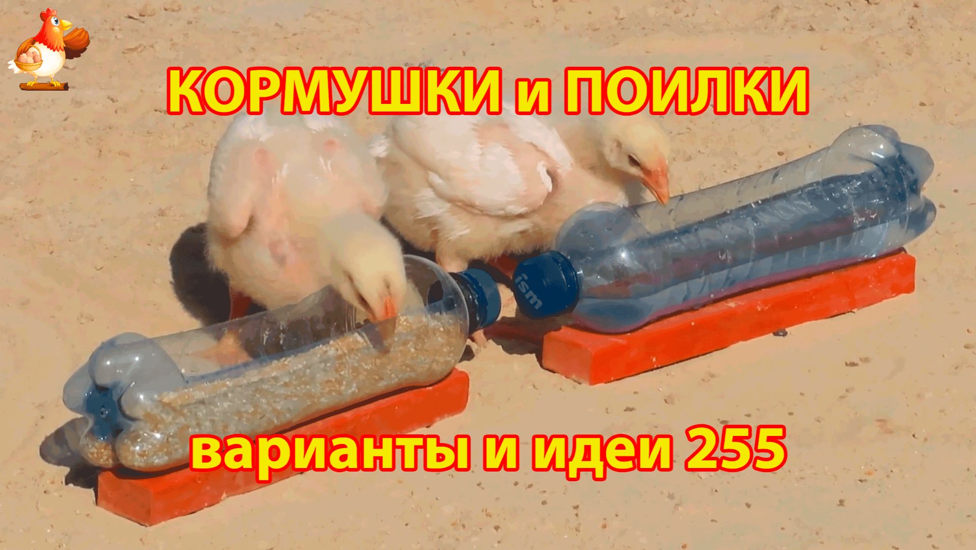 Кормушки и поилки для кур своими руками 255 🪚✂️ Пошаговая инструкция как сделать 🐔 🐓❣️
