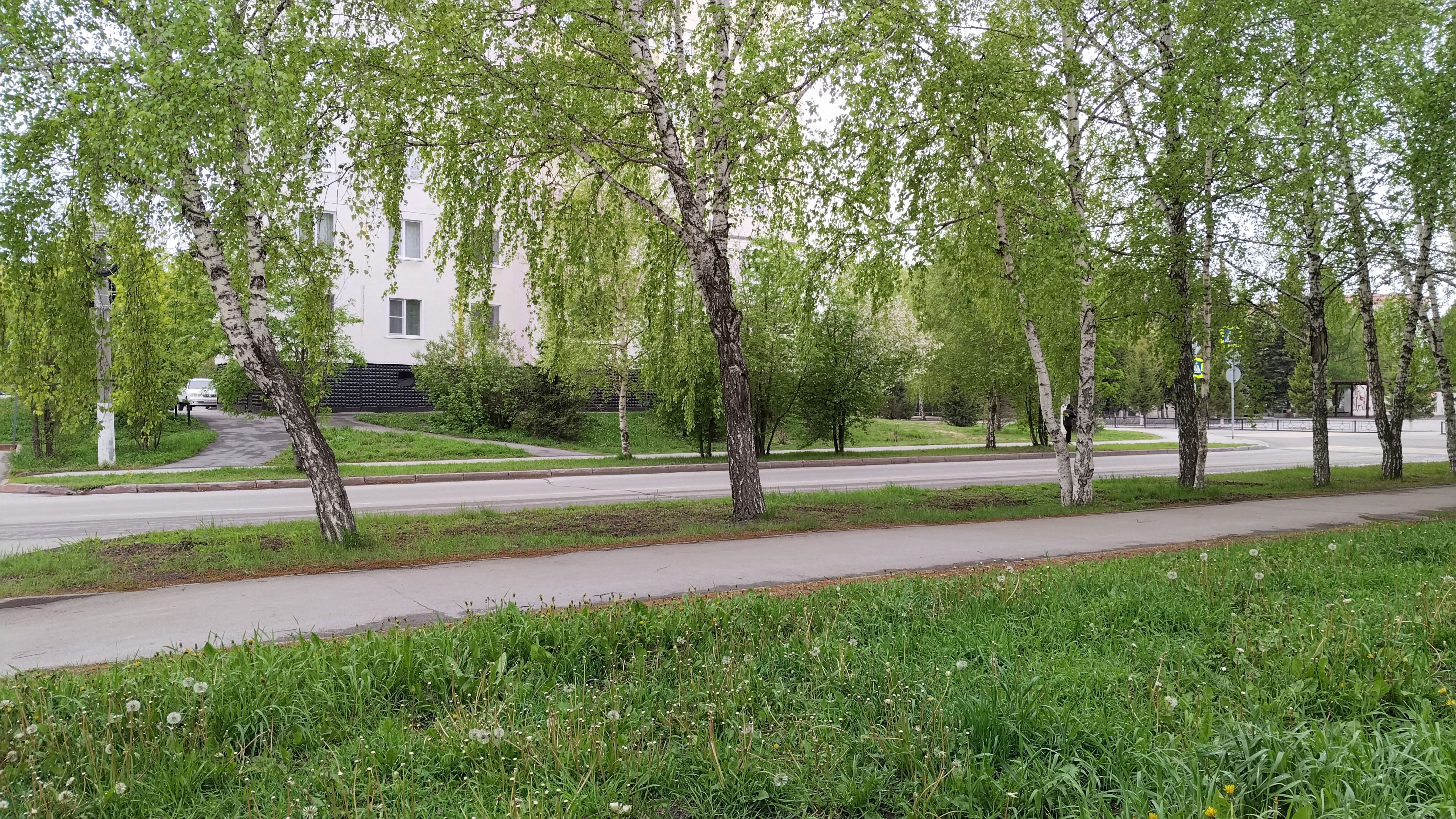 Климат с Сибири. Моё  рассуждение об одной из причин перемен. 23-05-2026
