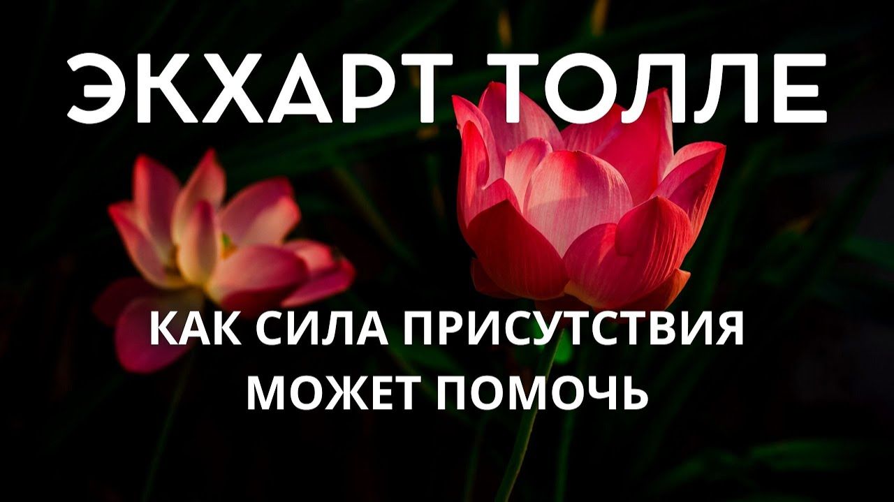 Бедность. Как сила присутствия может помочь - ЭКХАРТ ТОЛЛЕ [Nikosho]