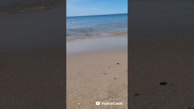 293/ Калининград глазами моей дочери/ Светлогорск и Зеленоград...