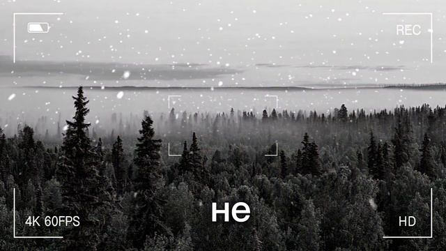 Красотка ПРИШЛА к нему в избу и ОСТАЛАСЬ навсегда... СЕКРЕТ РАСКРЫТ.