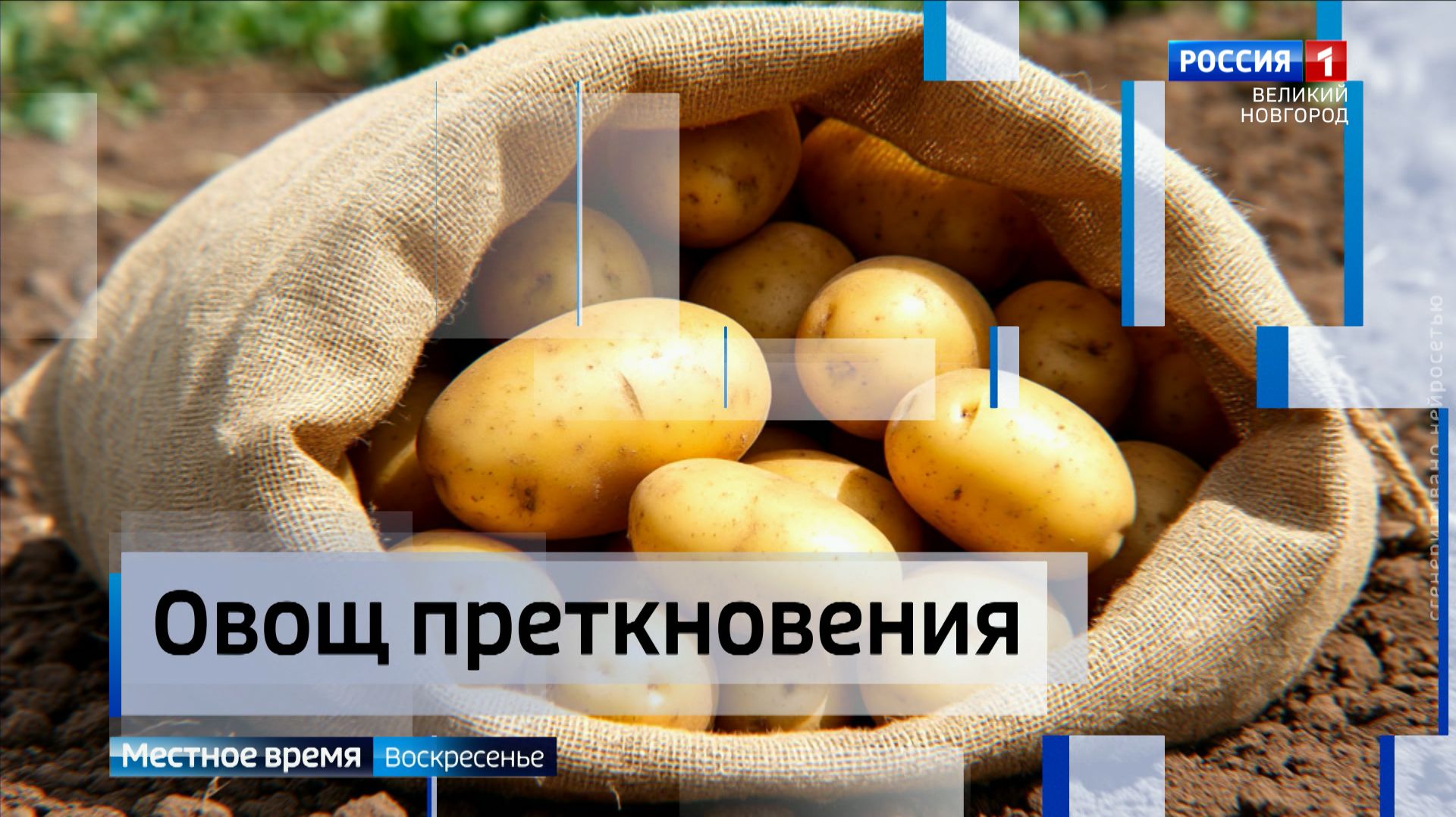 ГТРК СЛАВИЯ Российский картофель не может попасть на прилавки 24.05.26
