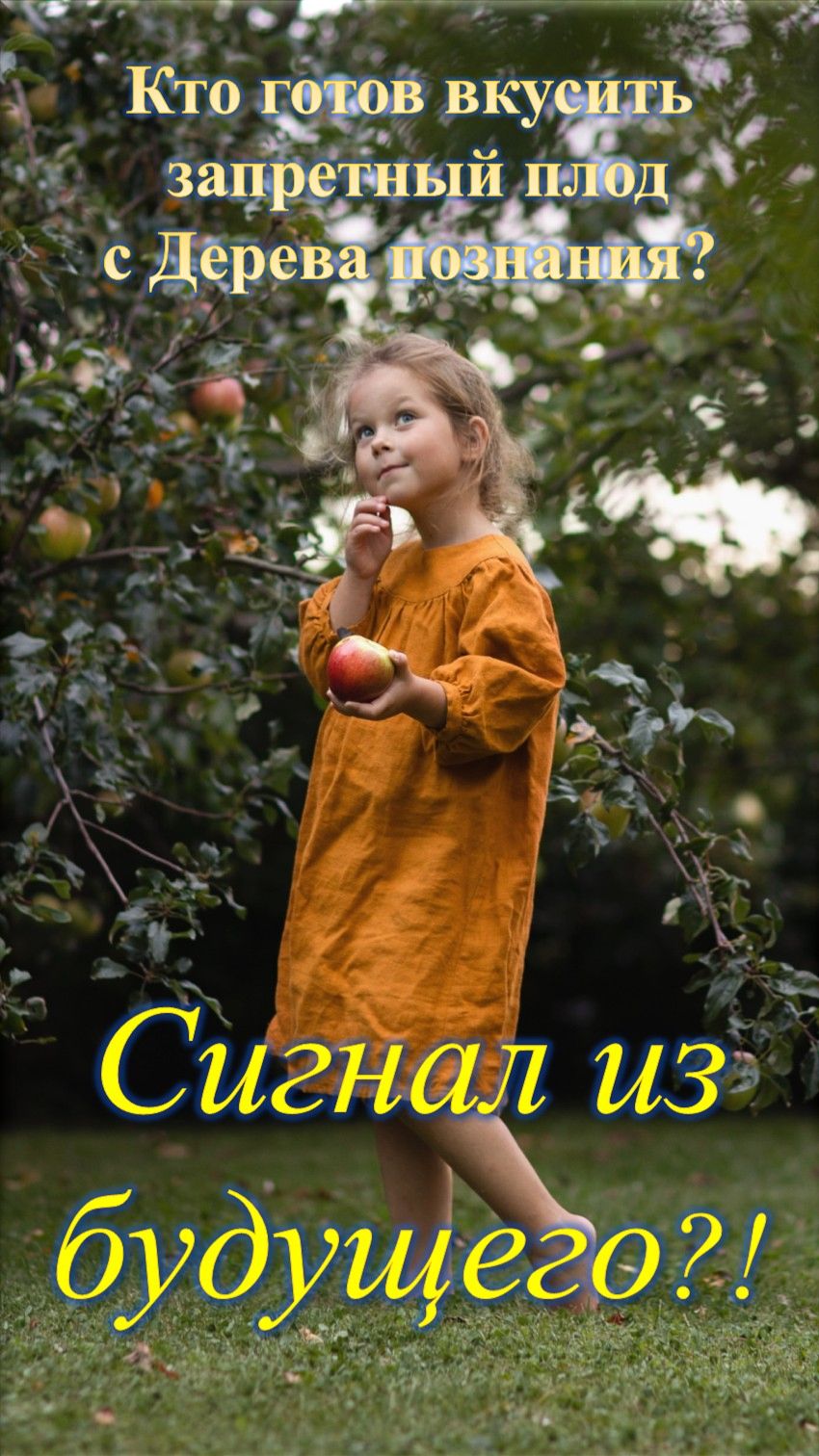Сигнал из будущего?!