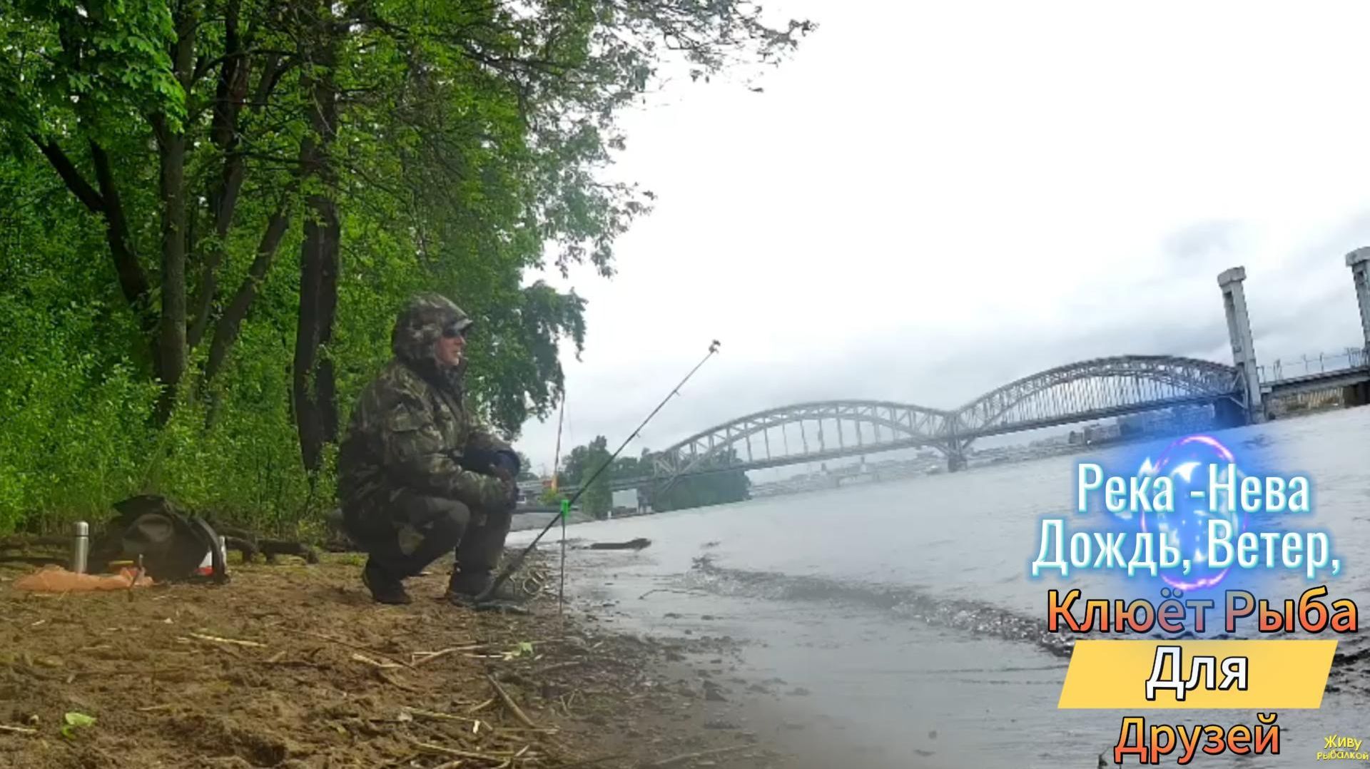 РЫБАЛКА ЭТО МЕСТО В ГОРОДЕ НА НЕВЕ БЫЛО МНОЮ ПОЧТИ ЗАБЫТО Я РЕШИЛ ЕГО ПОСЕТИТЬ КОГДА ТО СДЕСЬ ЛОВИЛ