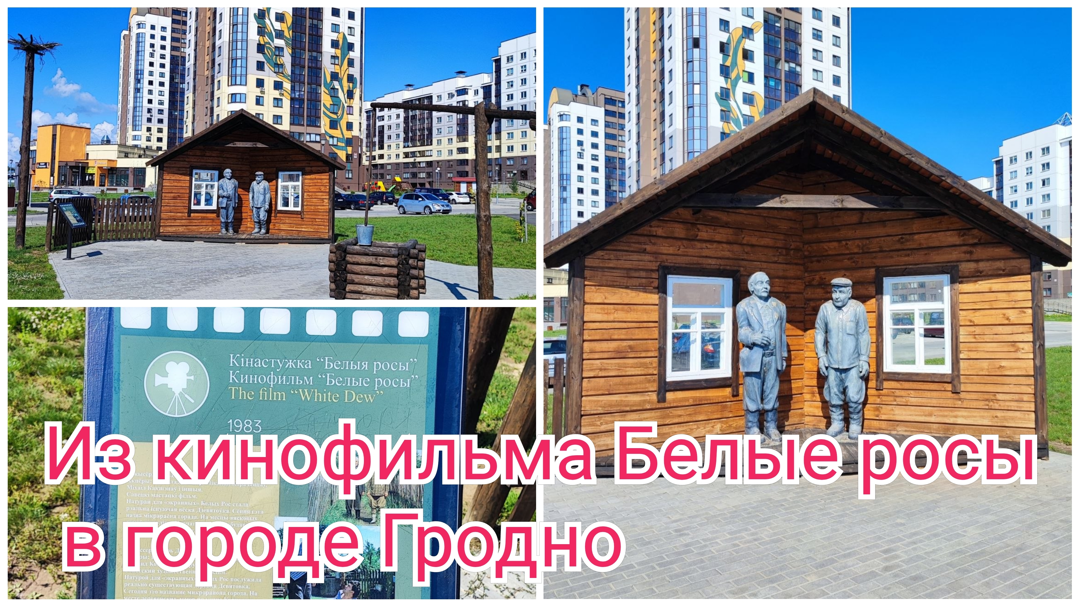 Из кинофильма Белые росы в городе Гродно