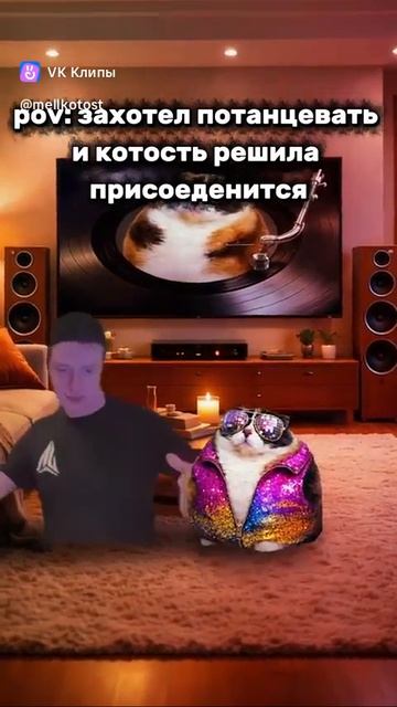 Котость