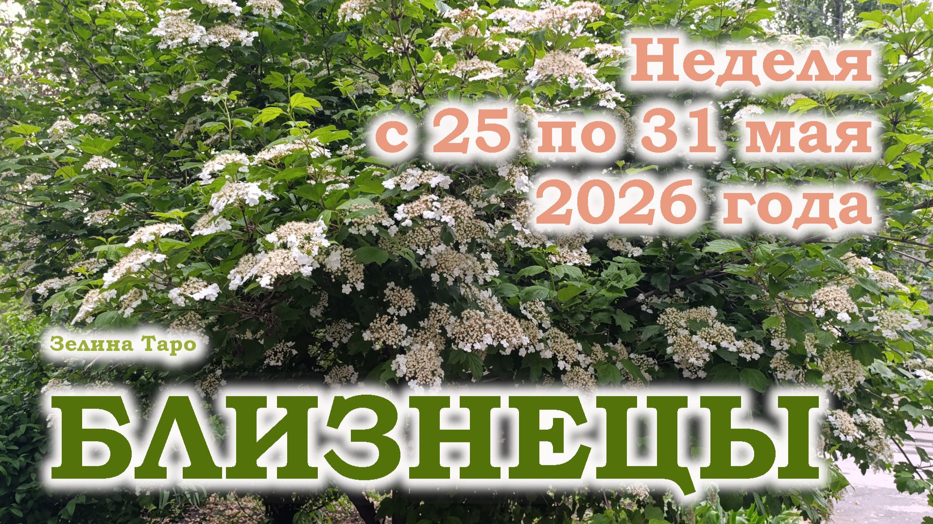БЛИЗНЕЦЫ | ТАРО прогноз на неделю с 25 по 31 мая 2026 года