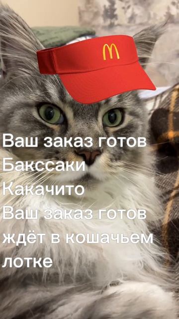 Котодональс