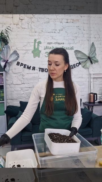 Мастер-класс: флорариум для суккулентов