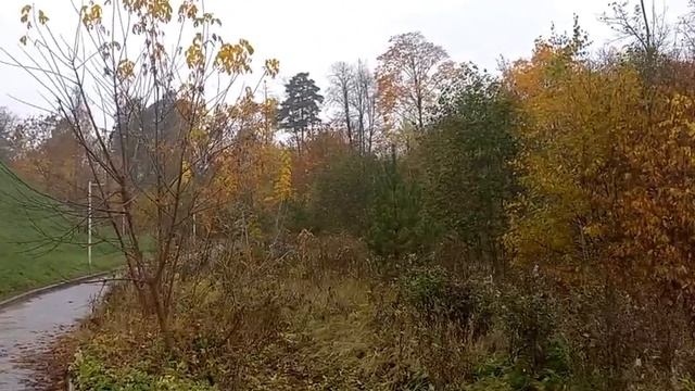 Гефсимания до Силоамского источника. 10 октября