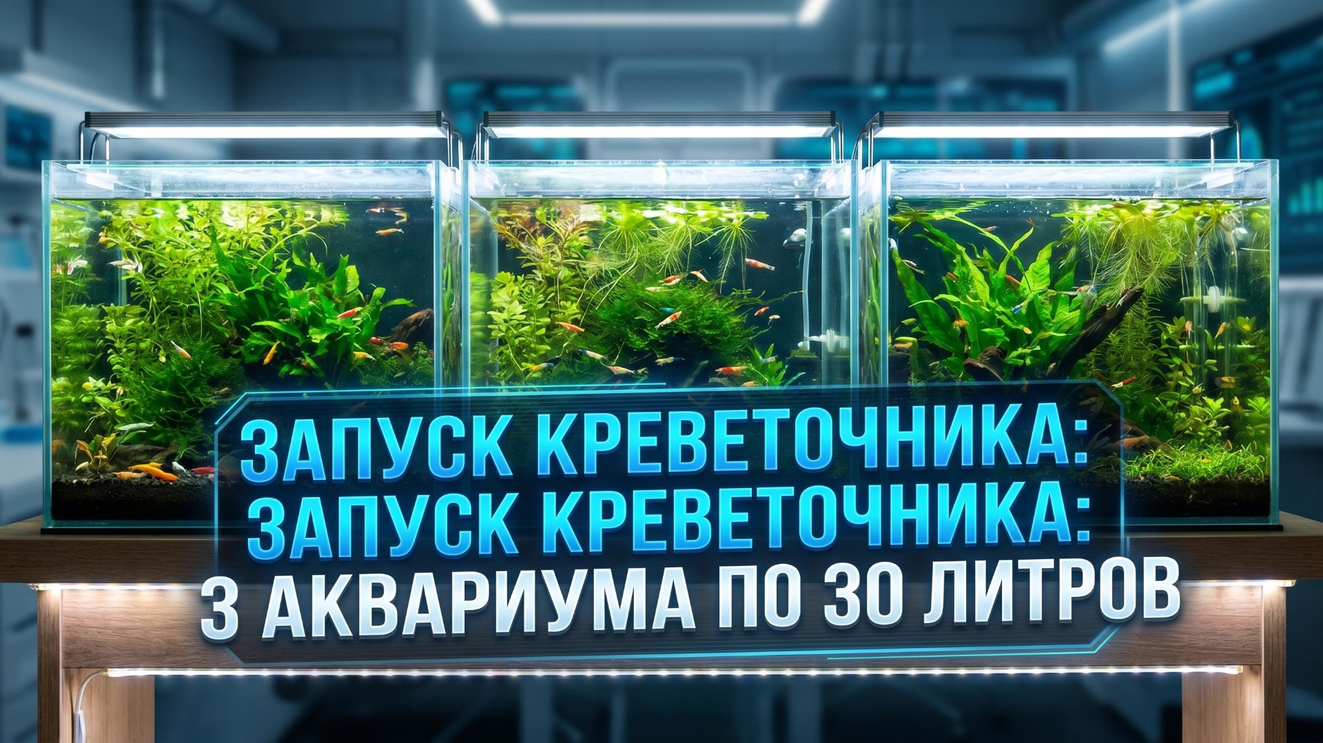 Установка аквариума для креветок Caridina | Разделенный на 30 литров каждый
