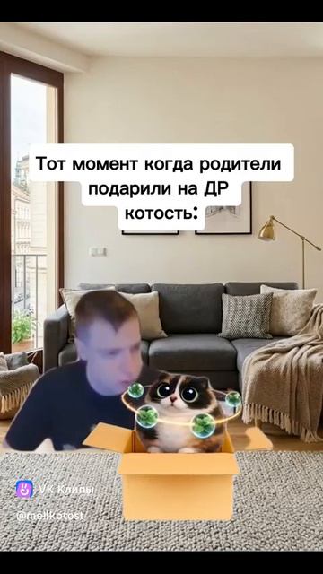 Котость