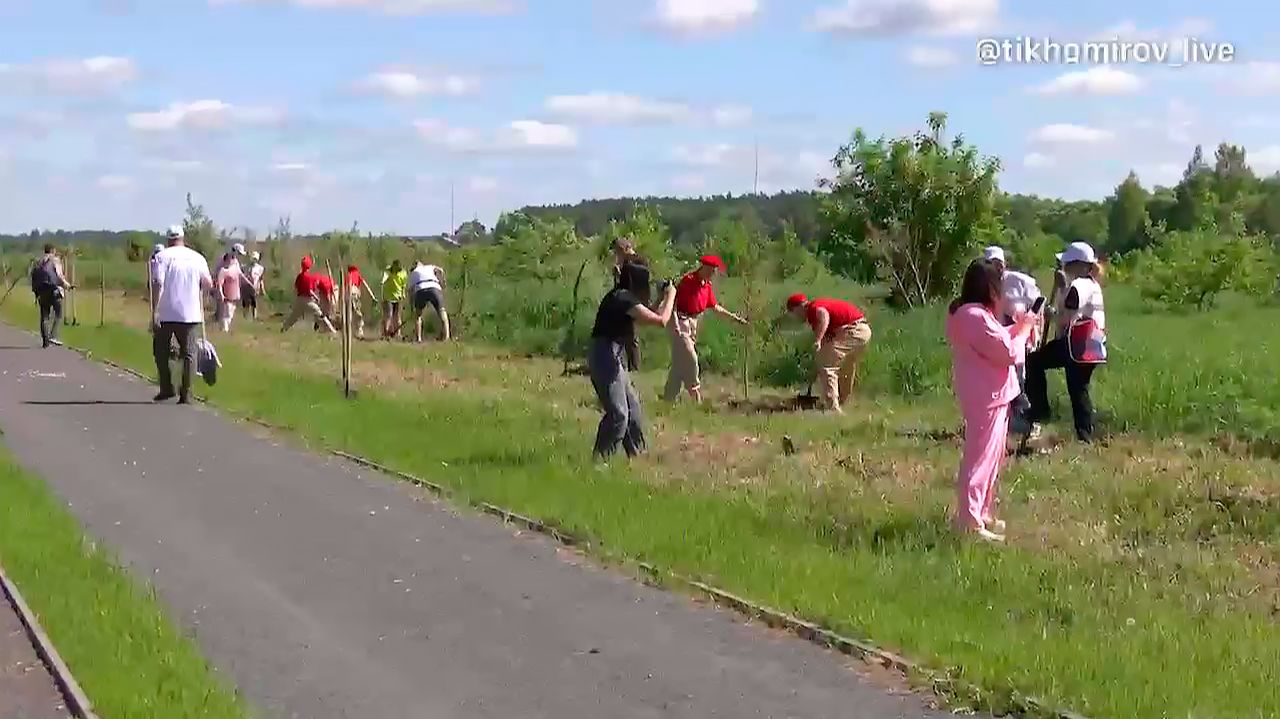 Более 400 деревьев и кустарников высадили жители Дубны в рамках акции «Сад памяти»