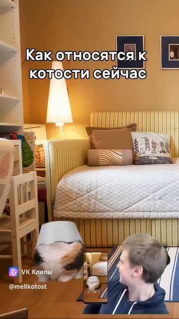 Котость