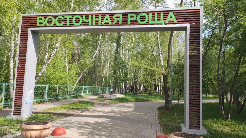 Восточная роща. Омск. Велопрогулка.