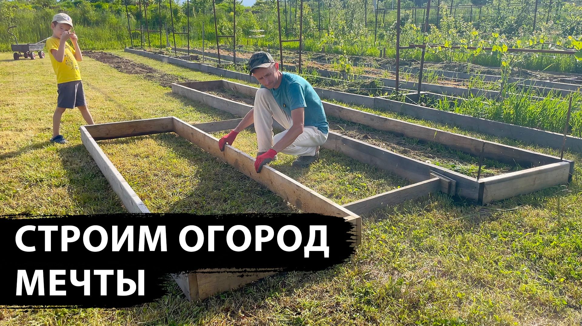 Строим огород мечты без химии, обрабатываем только биопрепаратами