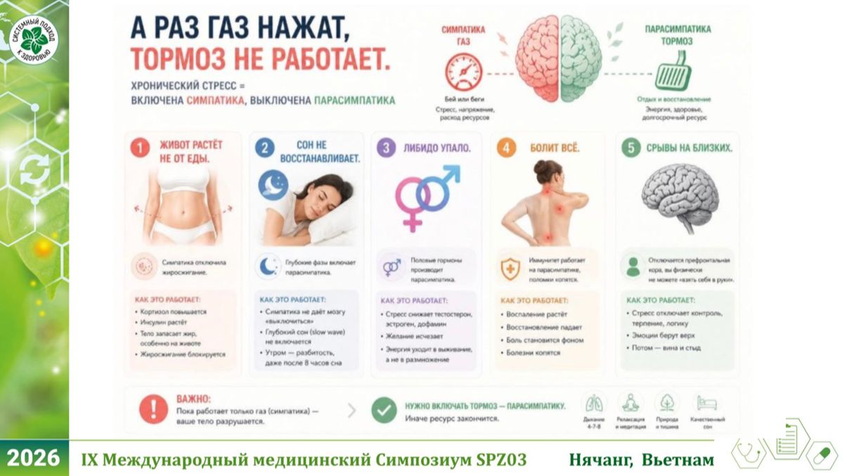 Примкулова Айкерим Биболатовна. Хронический стресс и ЖКТ