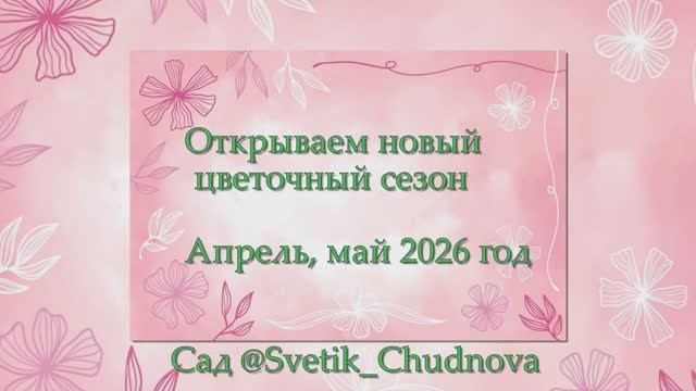 Открываем новый цветочный сезон (апрель, май 2026 г.)