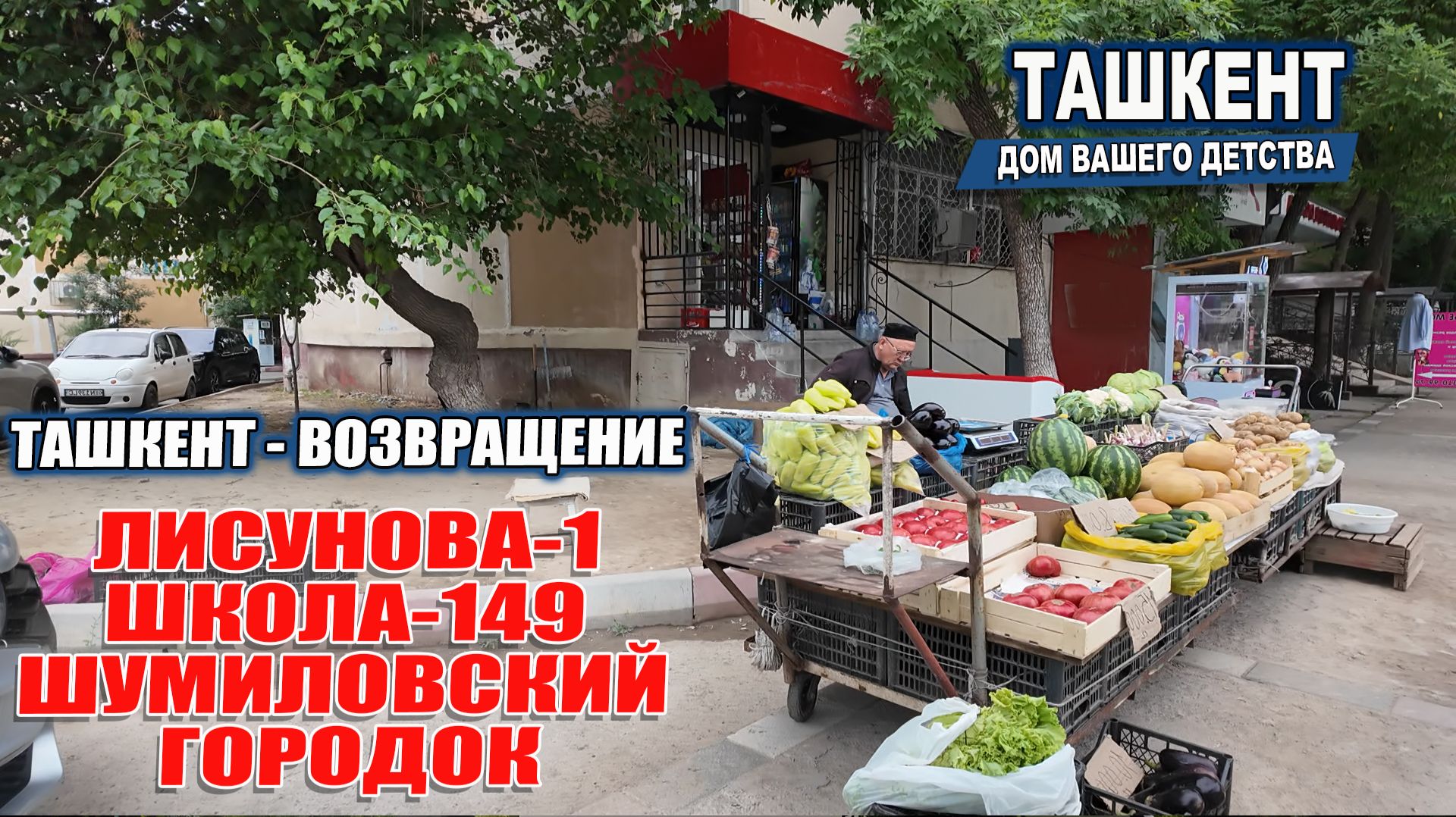 ТАШКЕНТ - ВОЗВРАЩЕНИЕ В ДЕТСТВО. ЛИСУНОВА-1 ШКОЛА 149, ШУМИЛОВСКИЙ ГОРОДОК.