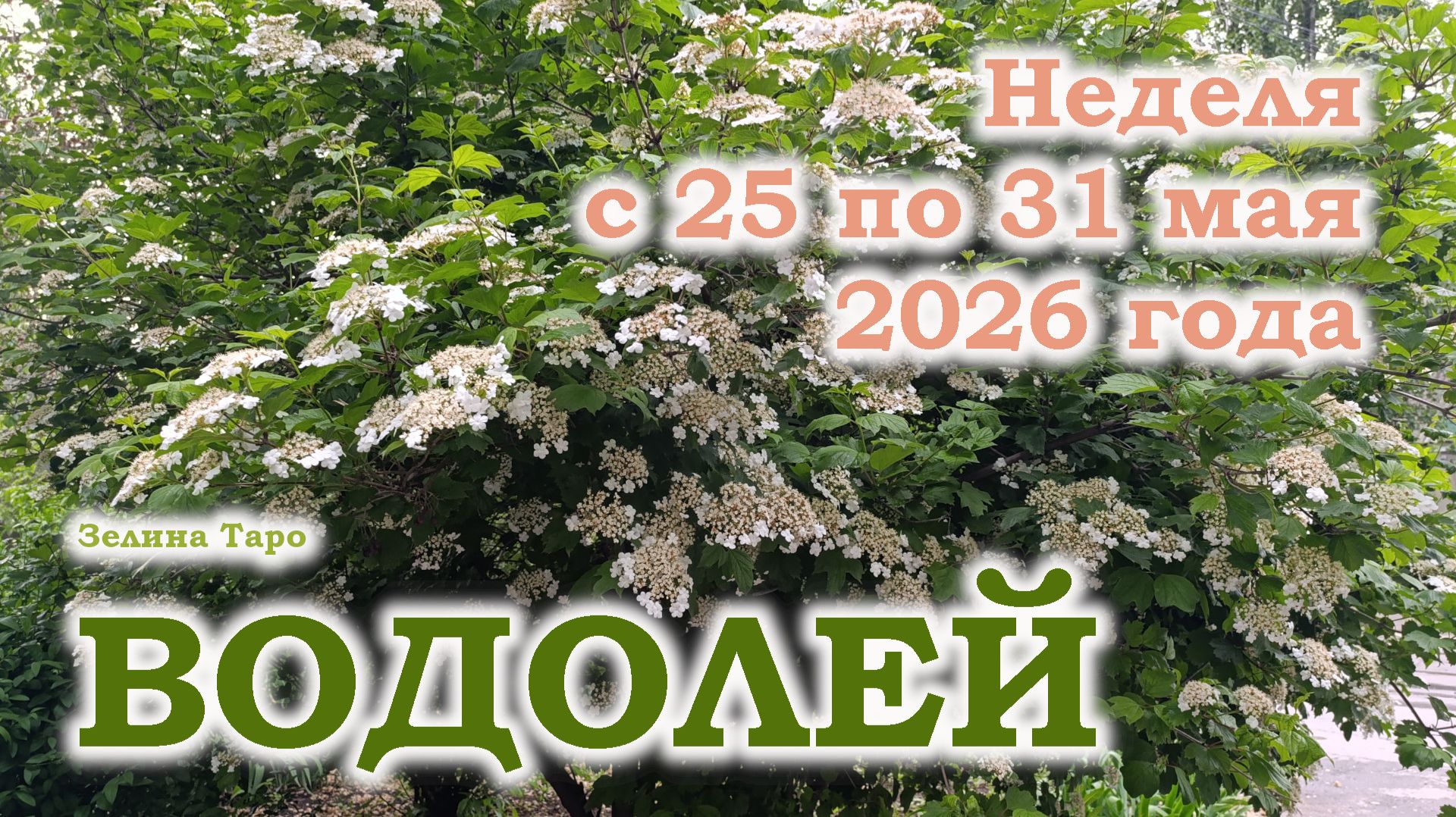 ВОДОЛЕЙ | ТАРО прогноз на неделю с 25 по 31 мая 2026 года