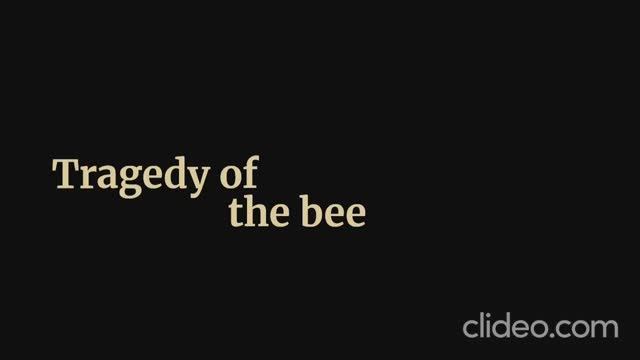 Volf Gang Records®: Tragedy of the bee
