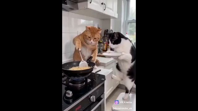 Пока хозяин на работе