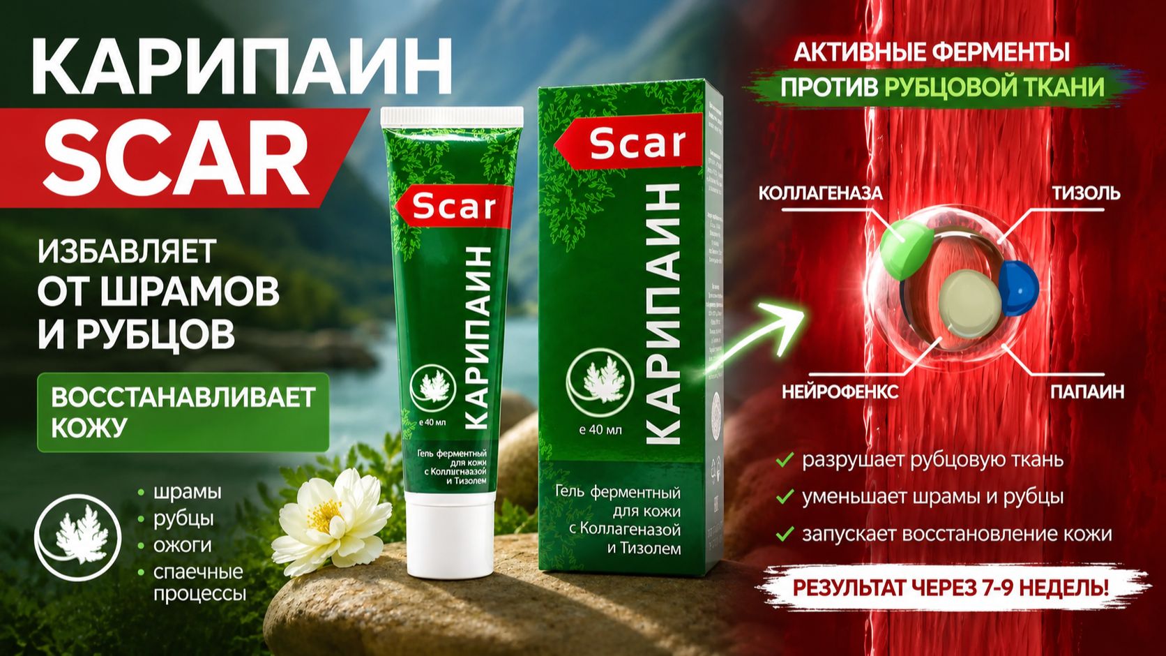 Инструкция: Карипаин Scar гель ферментный для кожи с Коллагеназой и Тизолем
