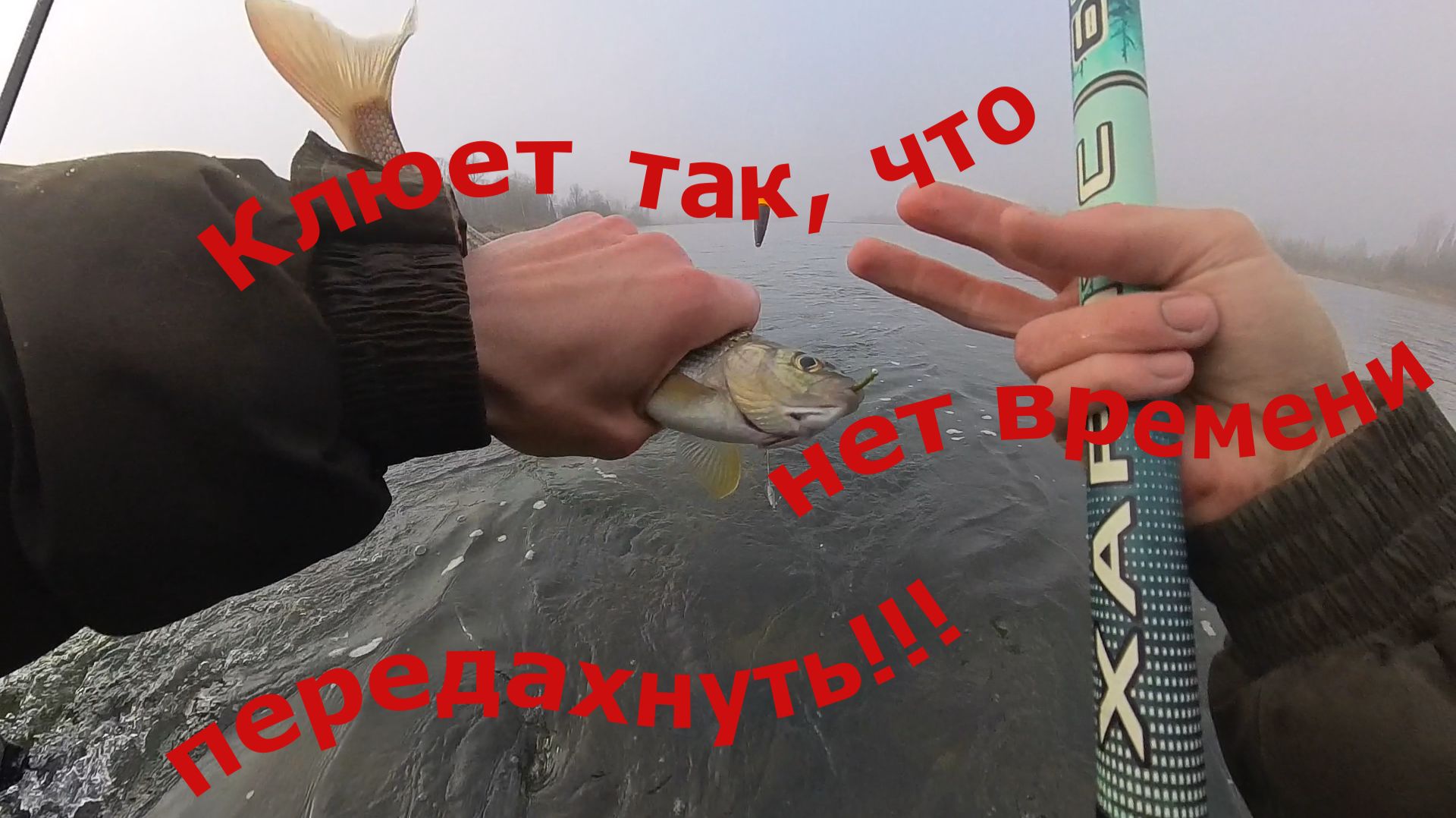 ЗАБРОДНАЯ РЫБАЛКА НА УДОЧКУ, ХАРИУС ОСЕНЬЮ