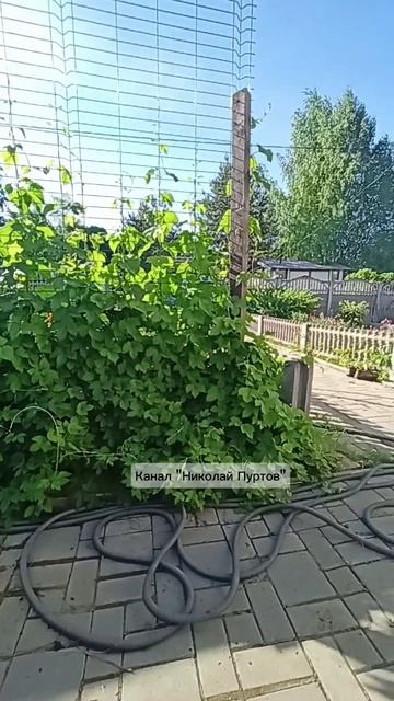 А верёвка всё как новая))