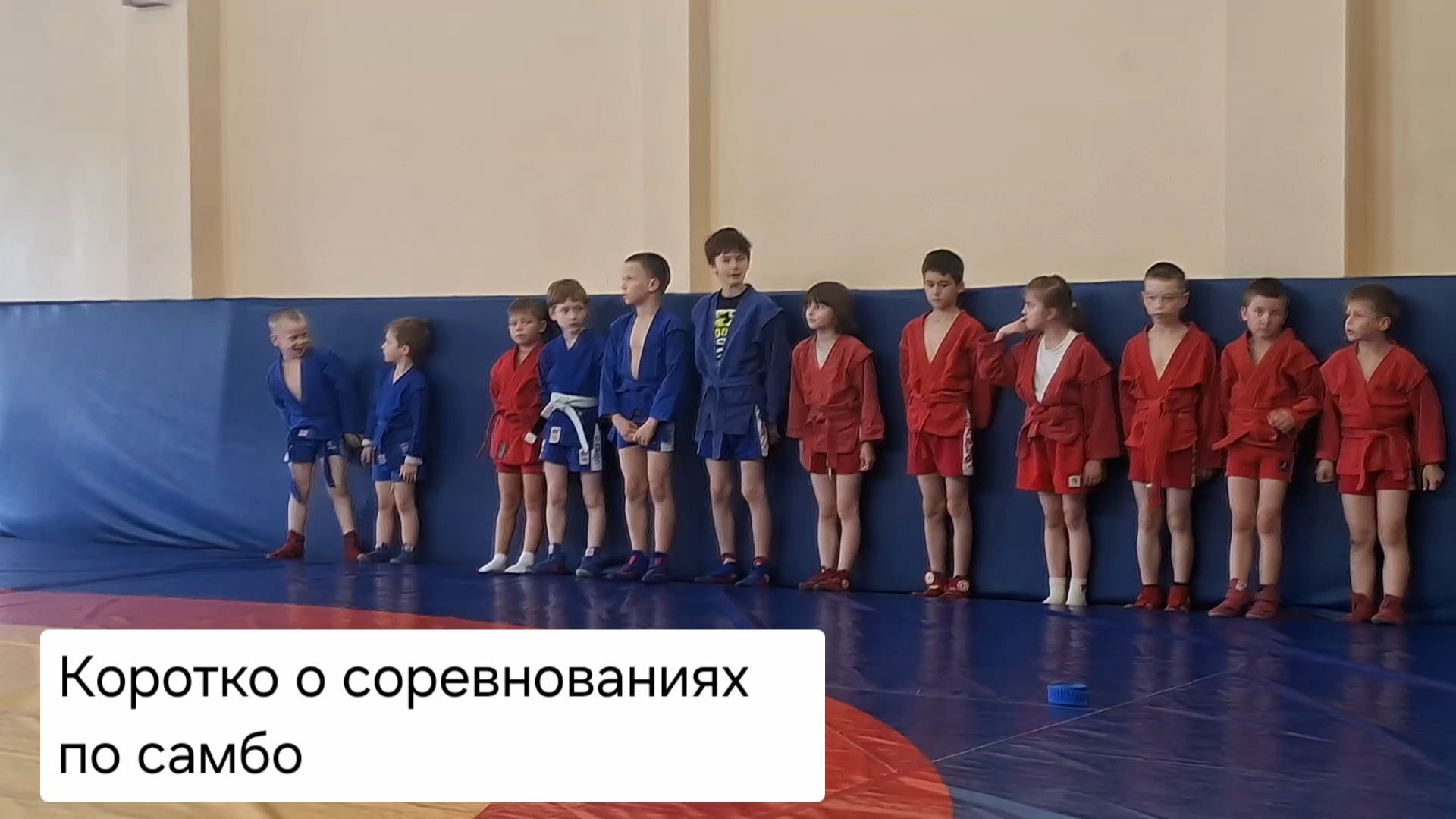 Коротко о соревнованиях по самбо