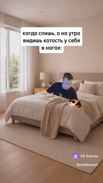 Котость