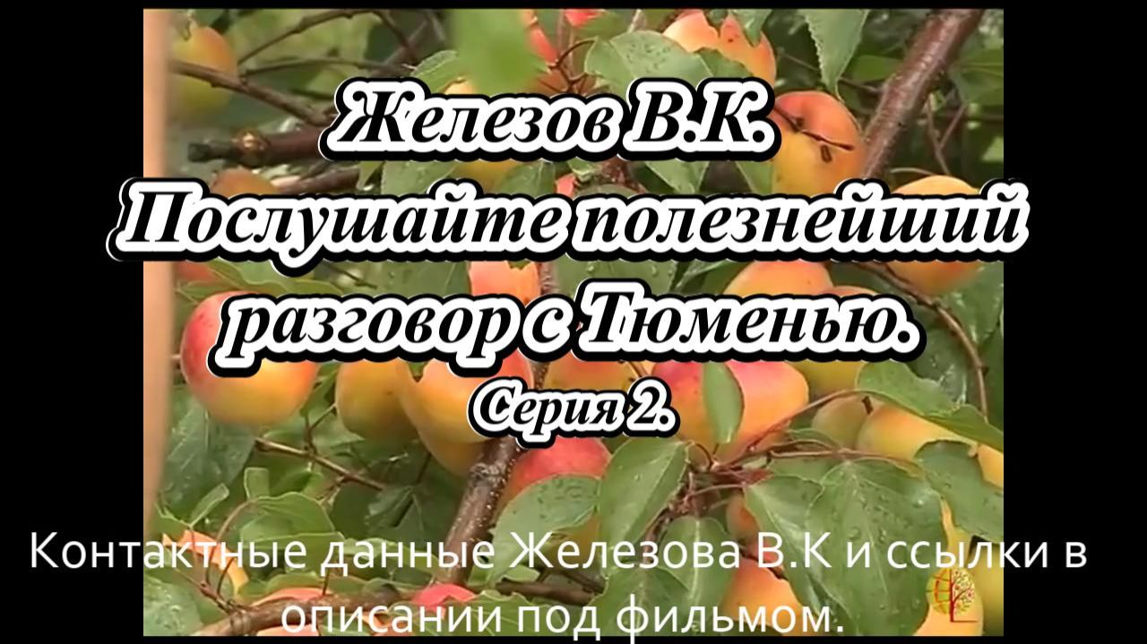 Железов В.К.  Послушайте полезнейший разговор с Тюменью. Серия 2.